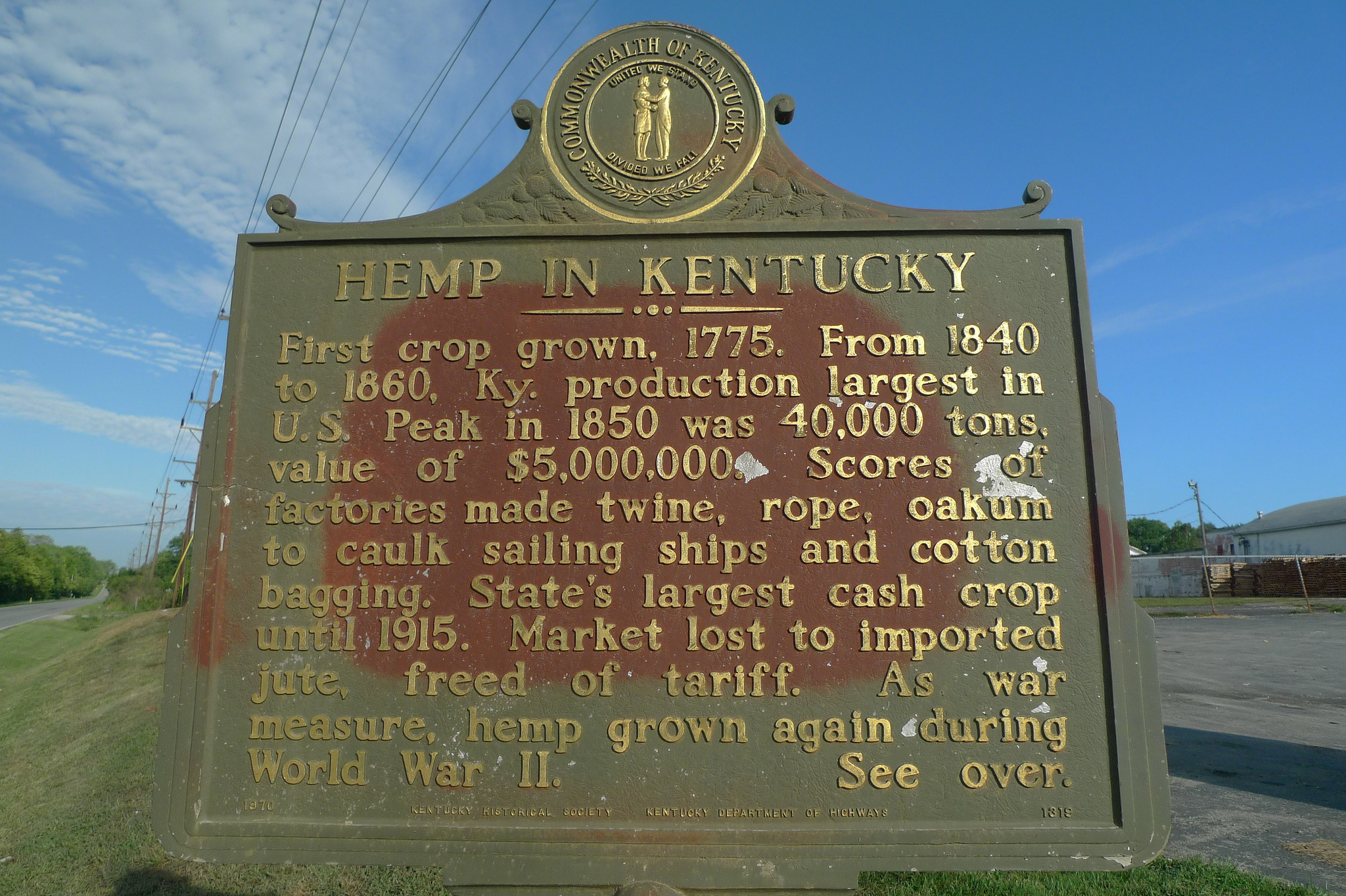 Kentucky farmers gamble on the South's first organic hemp cooperative ...