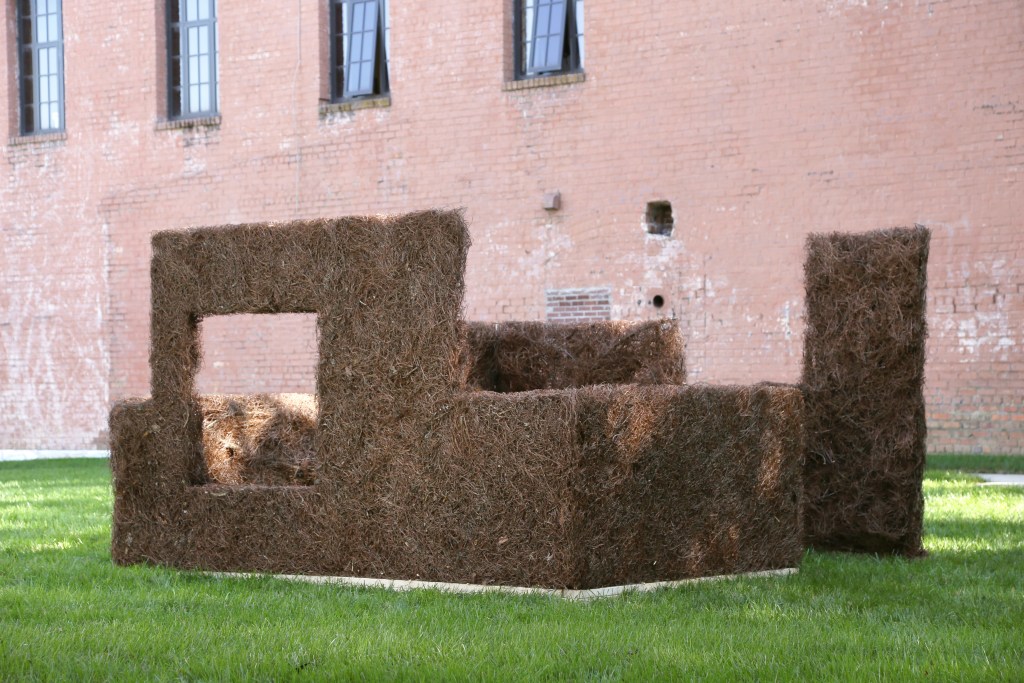 The role of kudzu in architecture, cuisine, and culture – Southerly